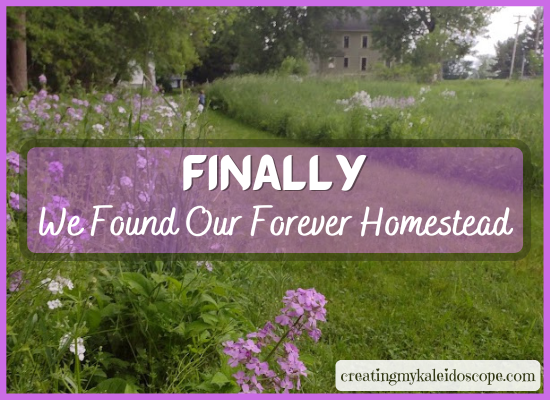 Finally, We Found Our Forever Homestead - Creating My Kaleidoscope
