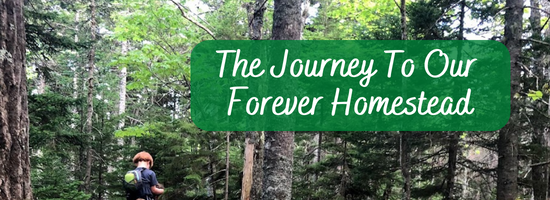 The Journey To Our Forever Homestead - Creating My Kaleidoscope