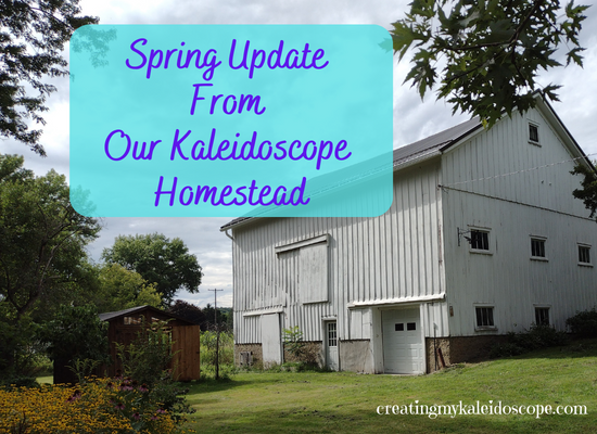Spring Update From Our Kaleidoscope Homestead - Creating My Kaleidoscope